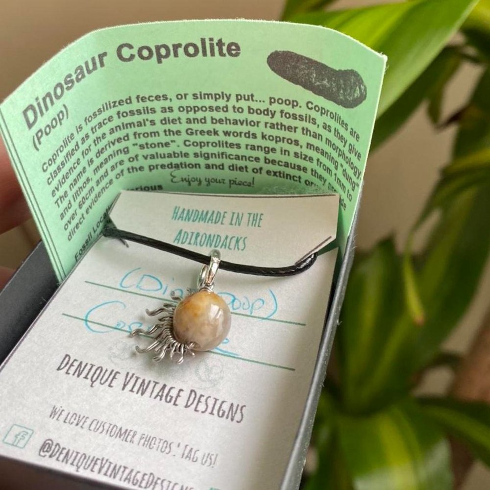 Dinosaur Poop Fossil (Coprolite) In Stainless Steel W… - Gem